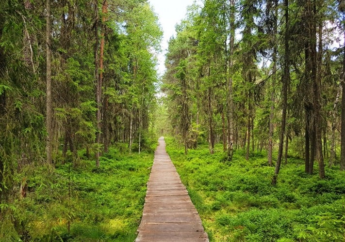 Top 20 obiective turistice în Suceava și împrejurimi - iTurist.ro