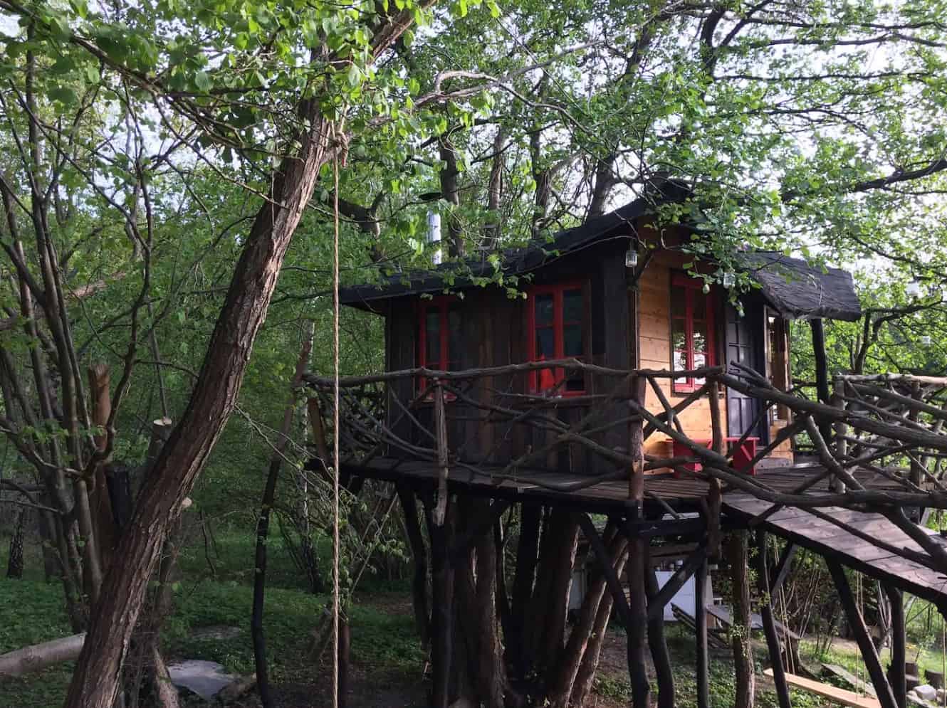 Top 7 căsuțe în copac din România, în mijlocul naturii - iTurist.ro