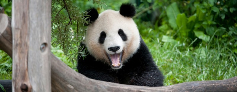 Top 9 obiective turistice în Viena - iTurist.ro