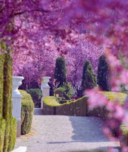 Grădinile lui Zoe: Un colț de rai în Banpotoc, Hunedoara - iTurist.ro