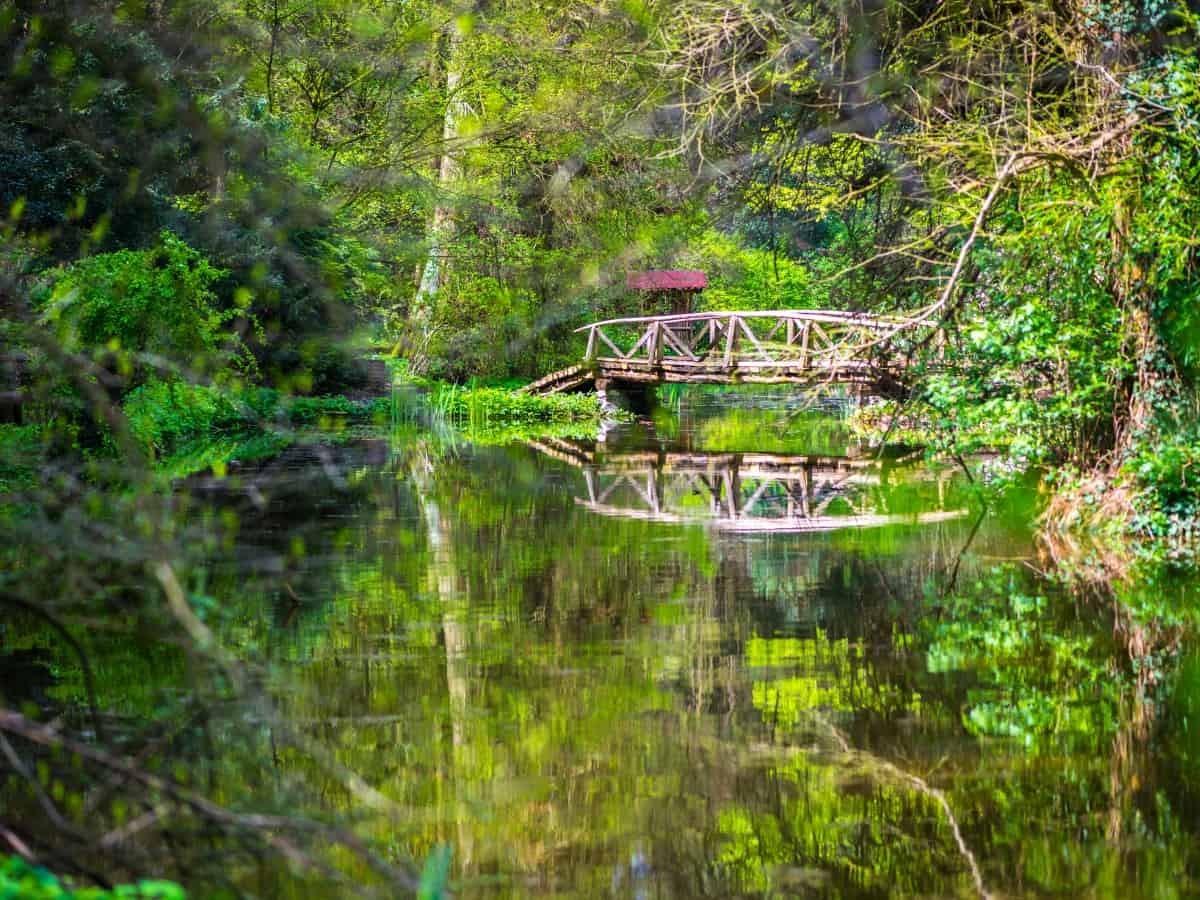 Top 11 obiective turistice în Hunedoara și împrejurimi (+ hartă ...