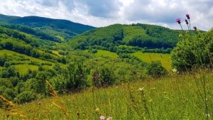 Satul Viscri - Unde Se Află și Ce Poți Vizita - iTurist.ro