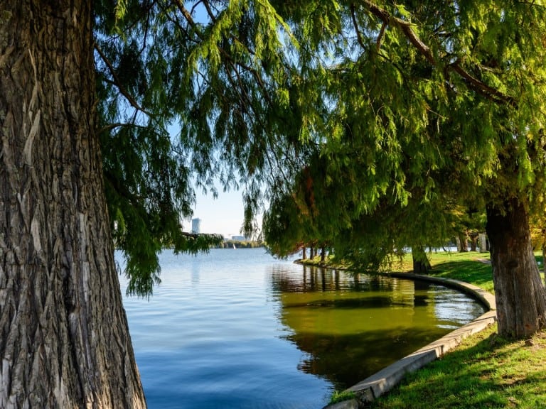 Top 10 cele mai frumoase parcuri din București - iTurist.ro