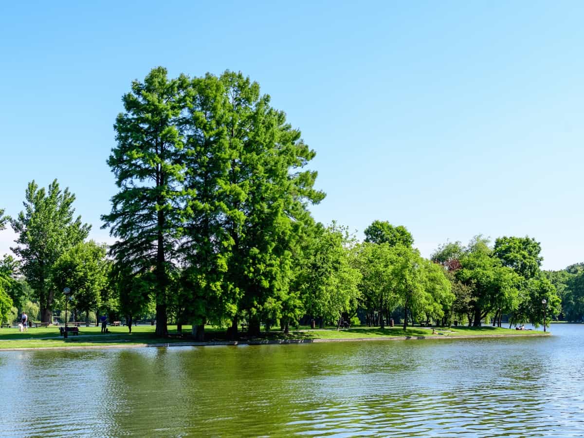 Top 10 cele mai frumoase parcuri din București - iTurist.ro