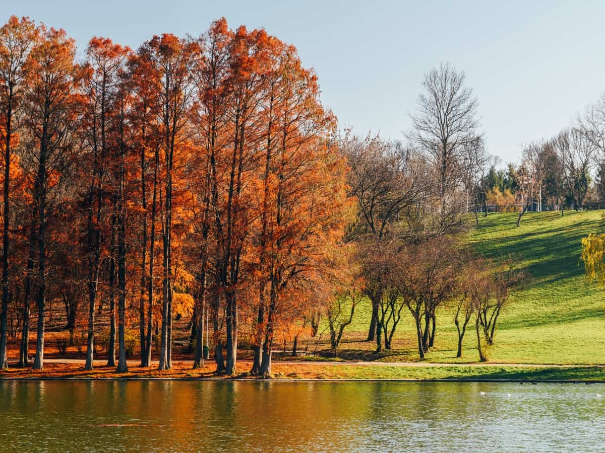 Top 10 cele mai frumoase parcuri din București - iTurist.ro