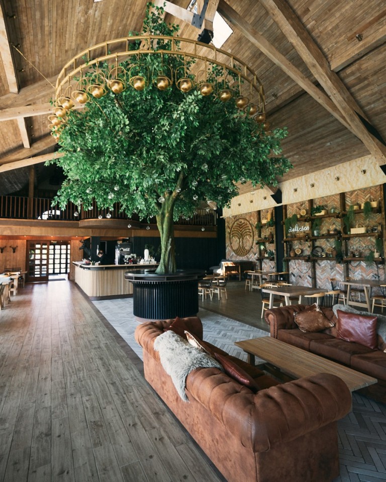 Top 9 locuri de vizitat în Bran și împrejurimi - iTurist.ro